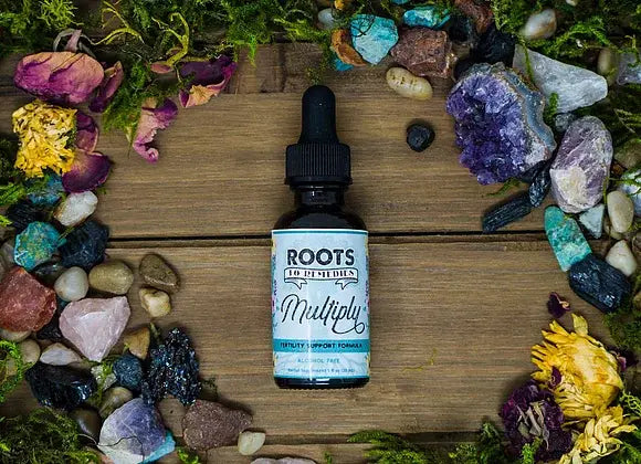 Fertility Support Herbal Tincture | Womb Wellness & Cycle Balance (1oz ...