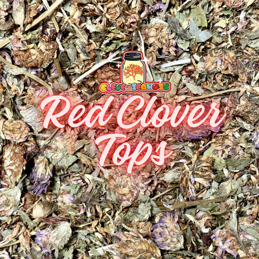 Red Clover Tops | Blood Cleanser | Hot Flashes | Lower Cholesterol | B ...