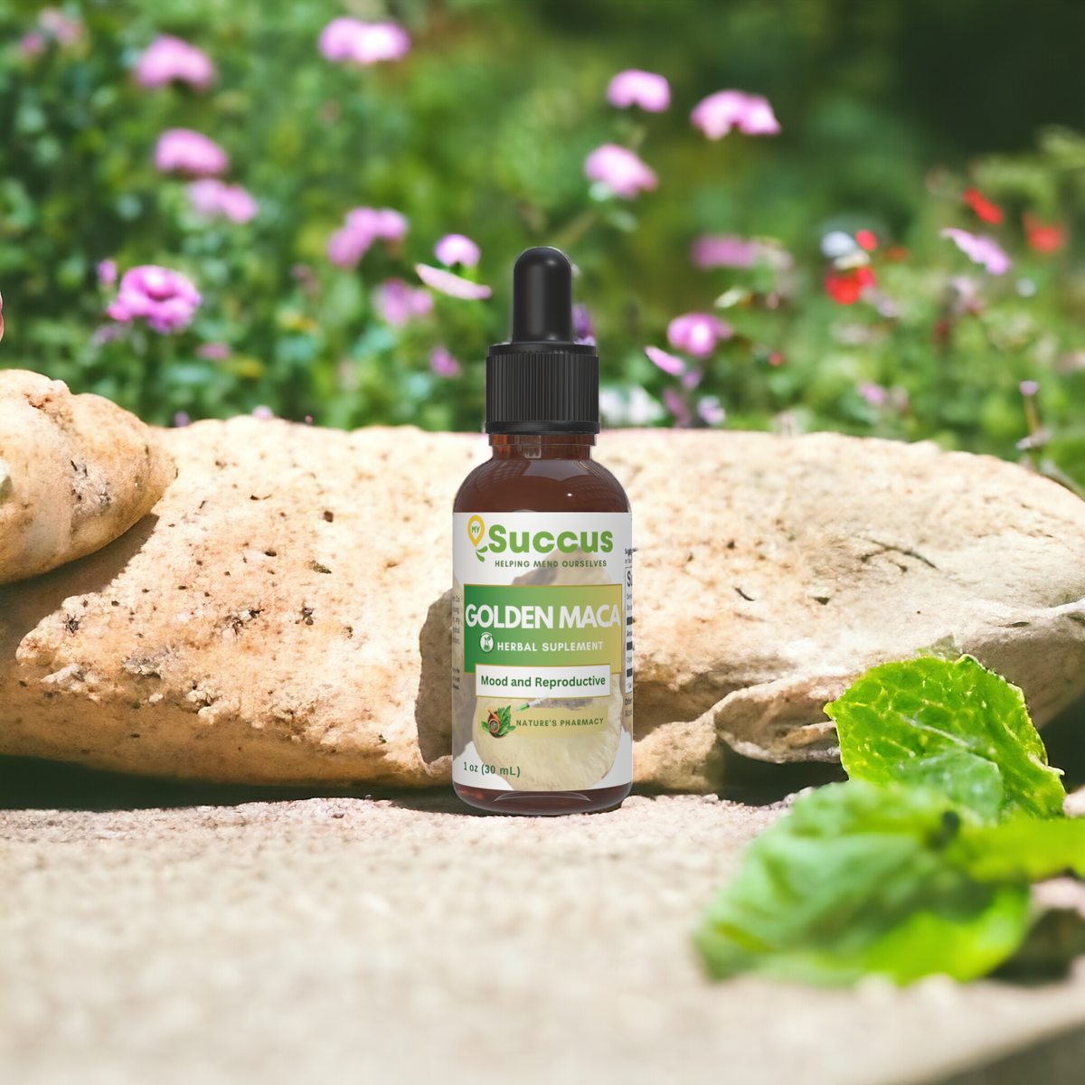 Golden Maca Root Tincture - Energy & Hormonal Balance: Alcohol Free ...